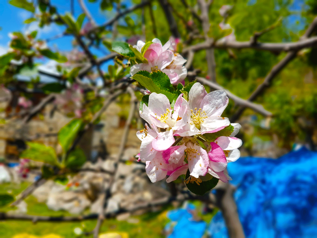 Humla - Reaching the Unreached | Er. Surendra Shrestha